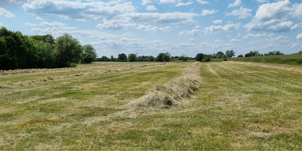 Heuernte | Spezialfutter Neuruppin